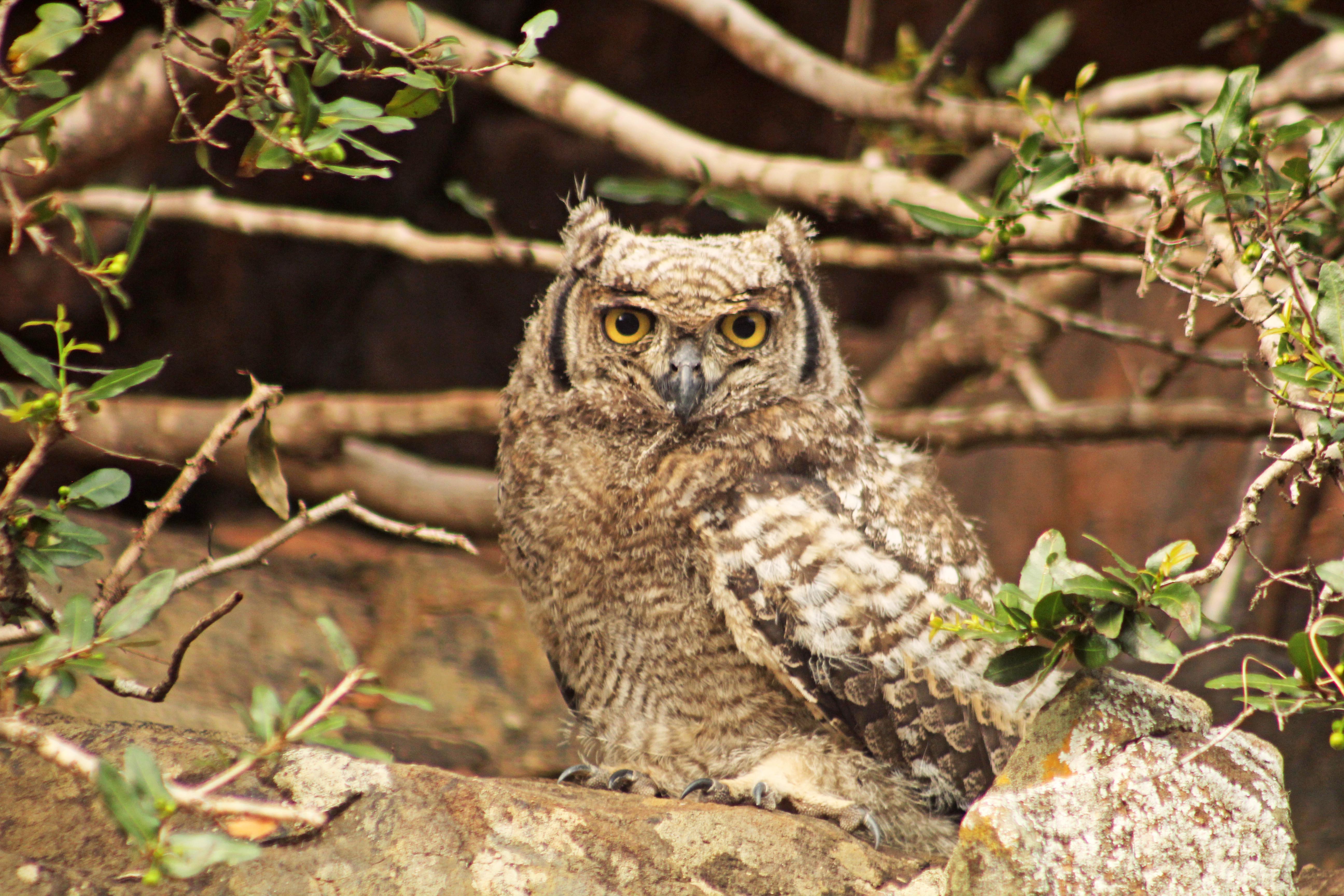 GALLERY | Bayete Zulu Lodge