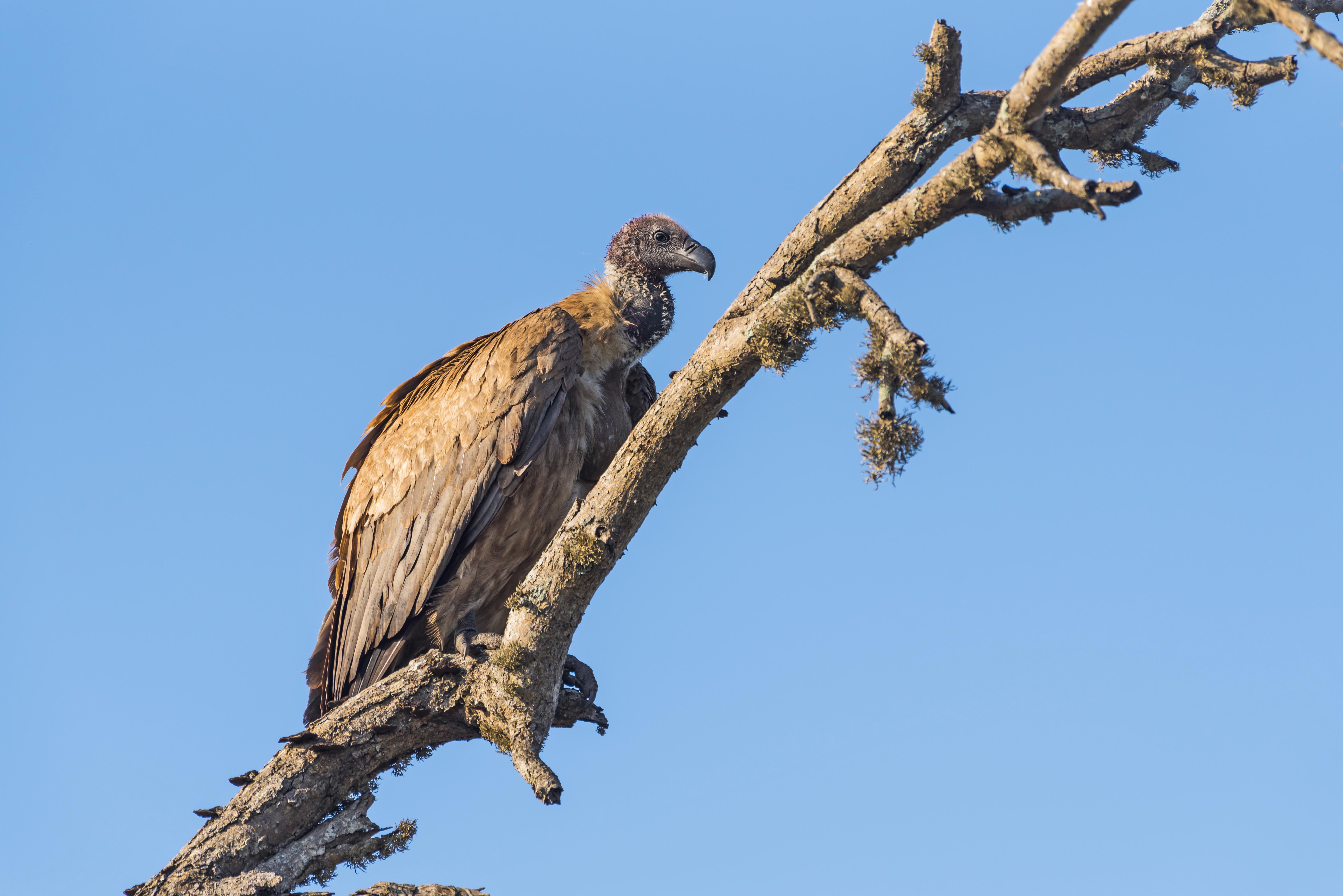 GALLERY | Bayete Zulu Lodge