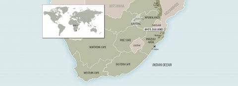 Manyoni Private Game Reserve | Bayete Zulu Lodge