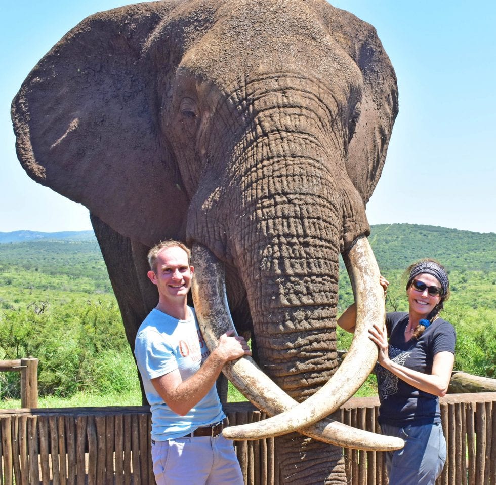 Elephant Connections – Be Humbled by Gentle Giants