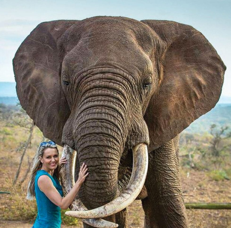 Elephant Connections – Be Humbled by Gentle Giants